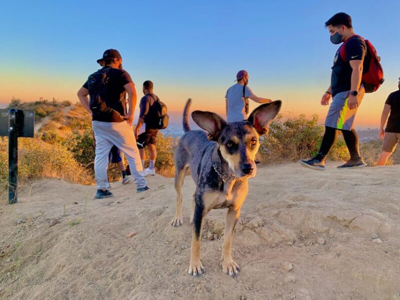 Hollywood Walking & Hiking Sunset Tour with LA Skyline Views - FAQs