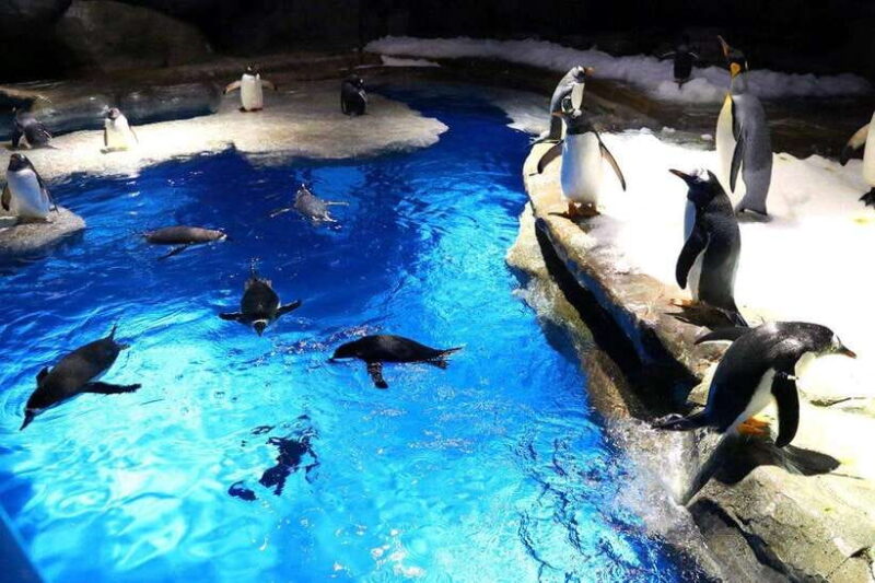 Hong Kong: Ocean Park Entry Ticket - Dining Options and Food