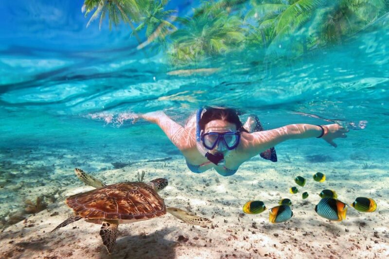 Kho Phangan : Mu Ko Ang Thong National Park - FAQ