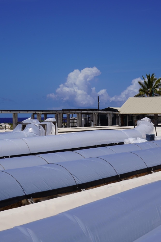 Kona: Hawaiian Salt Farm Tour - The Sum Up: Is the Kona Hawaiian Salt Farm Tour Worth It?