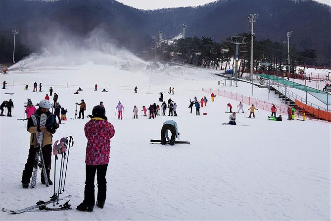 Korea Ski Tour from Seoul - Jisan Forest Resort - Who Should Book This Tour?
