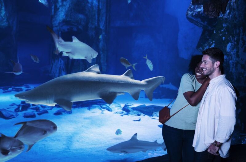 Mall of America: Sea Life Minnesota Aquarium Entry Ticket - FAQ