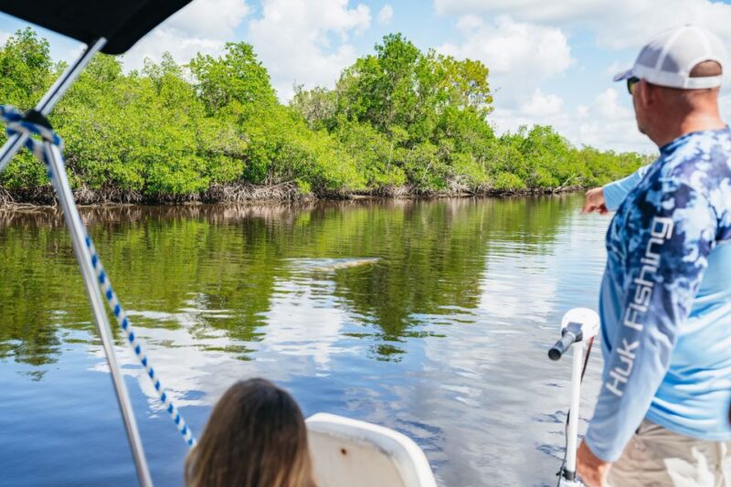 Naples, FL: Manatee Sightseeing and Wildlife Boat Tour - Final Thoughts