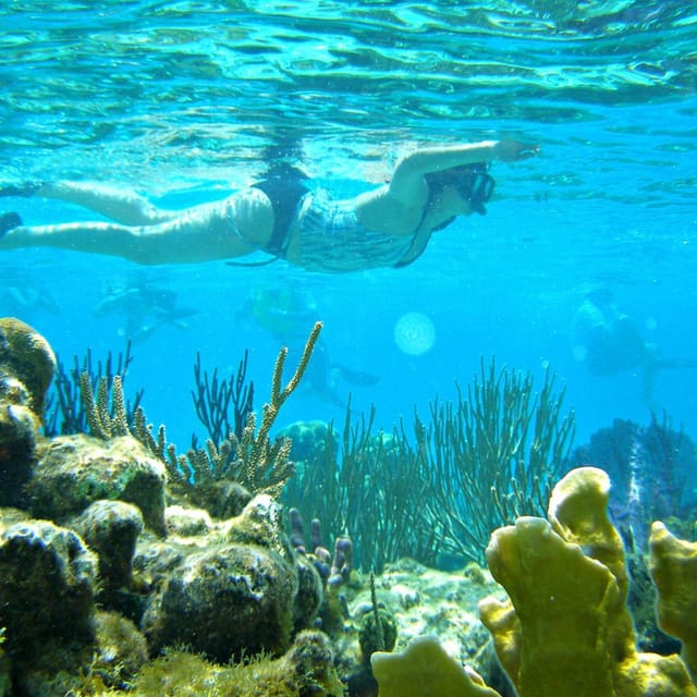 Nha Trang: Snorkeling - Sunbathing - Explore Fishing Village - Ending the Day: Return to Nha Trang