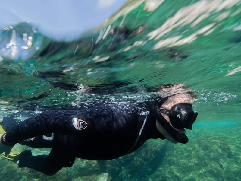 Nice: Snorkeling Speedboat Tour in Villefranche Bay - FAQ