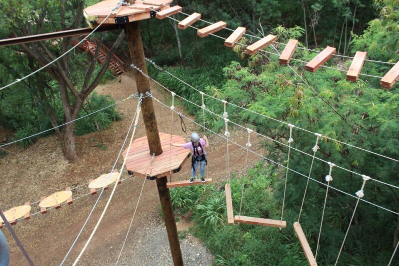 Oahu: Coral Crater Aerial Challenge Course - Who Should Consider This Tour?