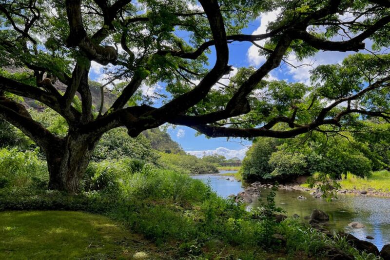 Oahu: Private Tour-North Shore feat. Waimea Falls - Final Thoughts