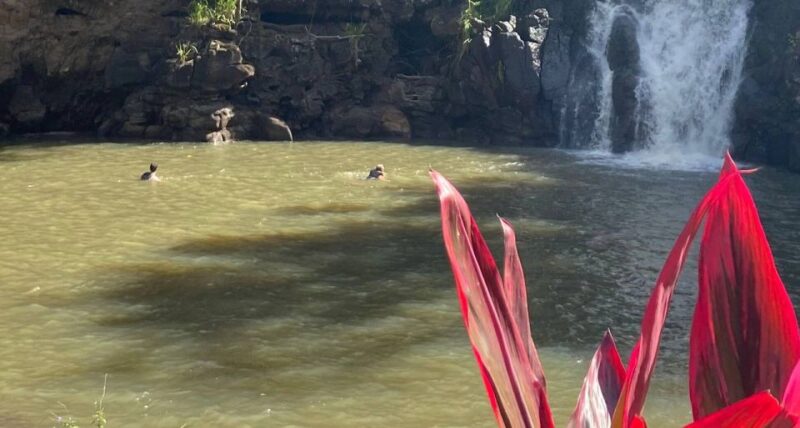 Oahu: Valley of Waimea Falls Swim & Hike with Lunch & Dole - FAQs