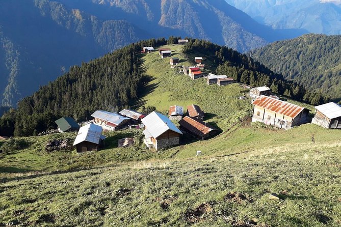 Organic Pokut Tour - Practical Tips for Travelers