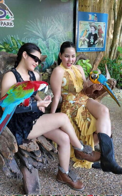 Phuket: Bird Park Entry Ticket - Final Thoughts