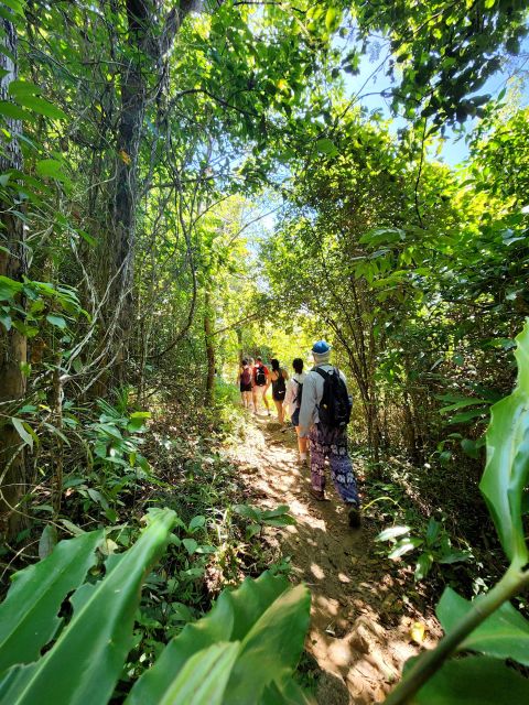Phuket Lookouts Tour with Lunch at Organic Farm - FAQs
