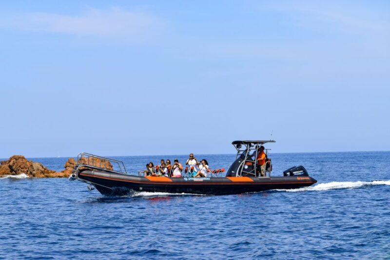 Porto: Scandola and Calanches of Piana Boat Trip - Who Will Love This Tour?