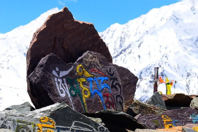 Private 4-Day Tiger Safari and Golden Triangle Tour from Delhi - Final Thoughts: Is This Tour Right for You?