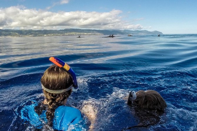 Private Marine Wildlife Boat Tour - FAQ
