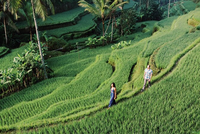 Private Tour Top Sights of Bali in One Day - The Swing Experience at Uma Pakel