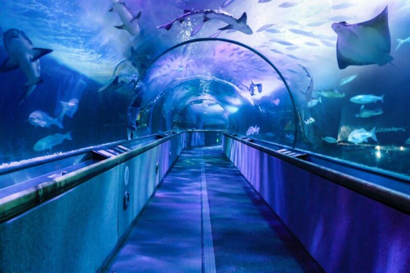 San Francisco: Go City All-Inclusive Pass 30+ Attractions - FAQs