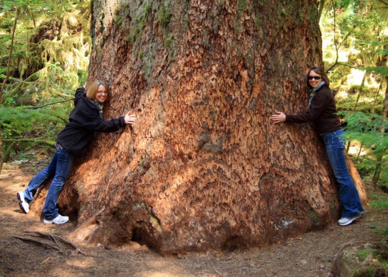 Seattle: Olympic National Park Small-Group Tour - FAQ Section