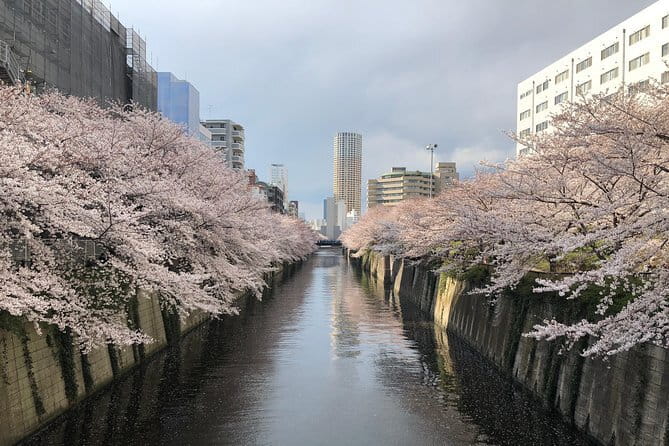 Shinjuku: Food Tour  15 Dishes & 3 Drinks at 4 Eateries - Who Should Consider This Tour?