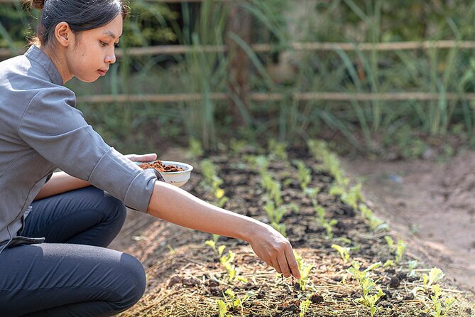 Siem Reap Morning Culinary & Culture Tour - (Vego also available) - FAQ