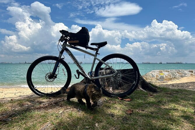 Singapore Beach City Cycling Tour - Frequently Asked Questions