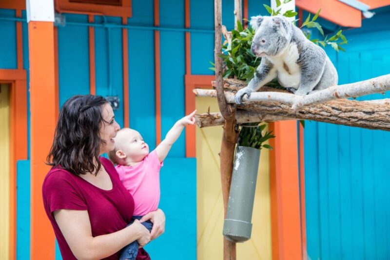 Tampa: ZooTampa at Lowry Park Entry Ticket - FAQ