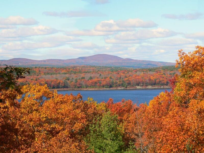 The New England Botanic Garden Day Trip from Boston - Who Should Consider This Trip?