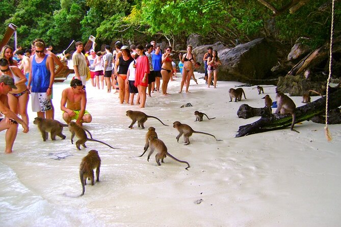 VIP Private Boat to Phi Phi Island: Snorkeling + Land Tour - Final Word