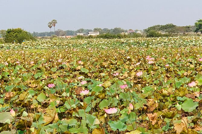 War Museum, Killing Field and Floating village ( Chong Kneas) Tour - FAQ
