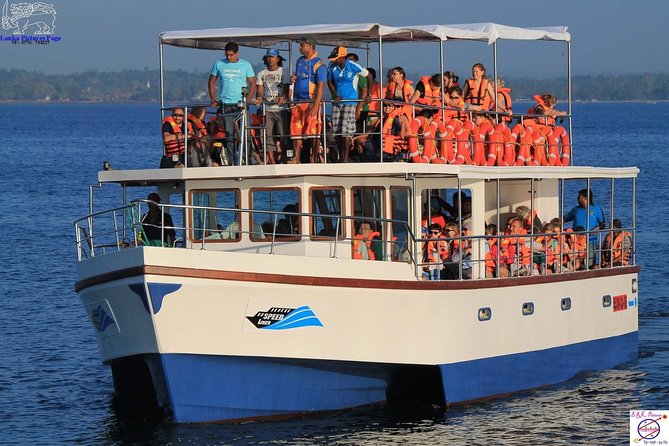 Whales and Dolphins Watching Mirissa - Final Words