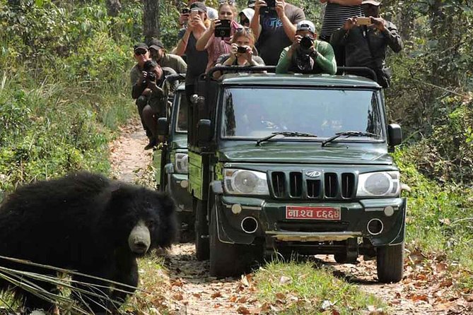 8 Days Nepal Tour (Kathmandu, Pokhara, and Chitwan Tour) - The Value of This Tour