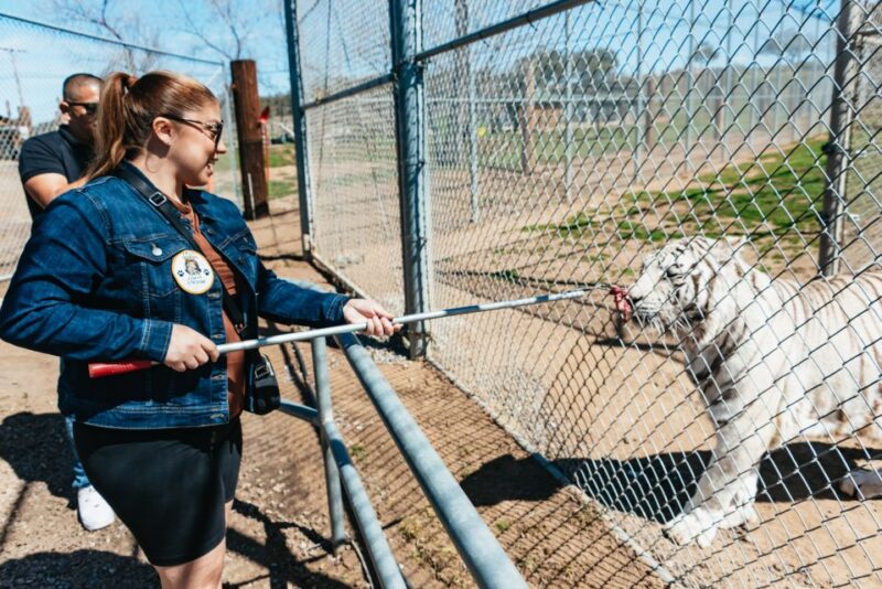 Alpine: Lions Tigers & Bears Animal Sanctuary Guided Visit - Who Will Love This Tour?