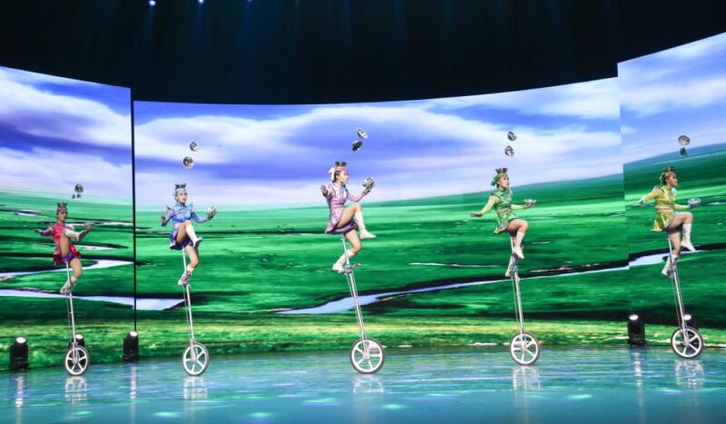 Beijing Night Tour with Acrobatics Show & PekingDuck Dinner - Final Thoughts