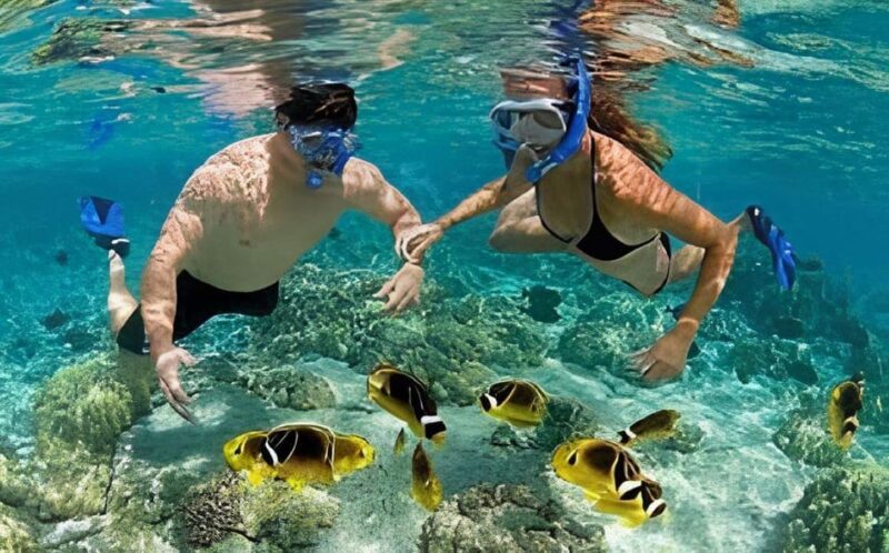 Explore Cham Island: Sightseeing and Snorkeling Adventure - FAQs