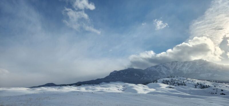 From Gardiner: Guided Yellowstone Cross-Country Skiing Tour - FAQ