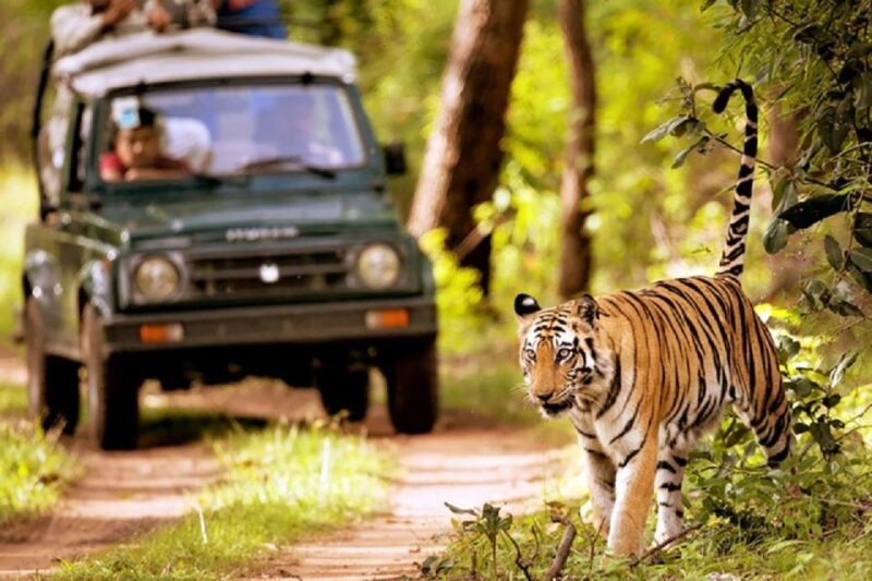 From Kathmandu: 3-Day Chitwan National Park Tour - The Sum Up