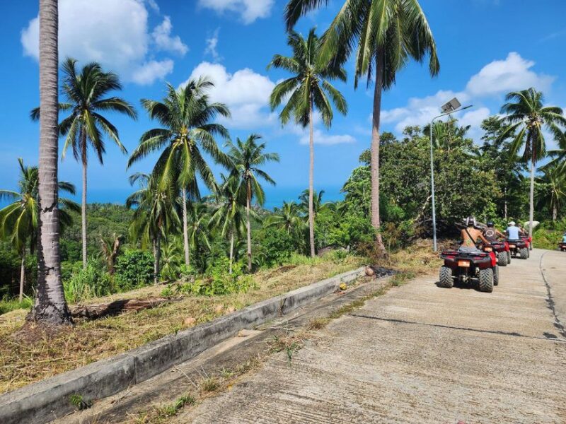From Ko Pha Ngan: ATV Jungle Adventure Experience - Final Thoughts