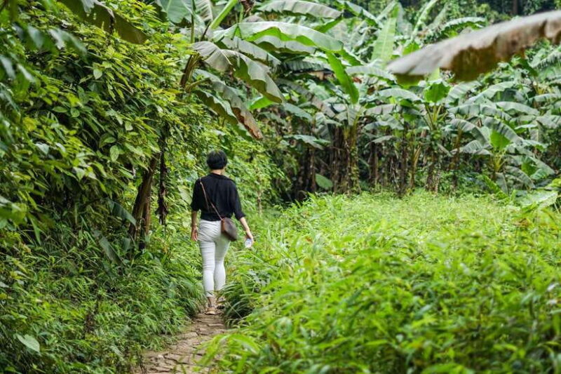 From Ninh Binh: Cuc Phuong National Park 1-Day Small Group - FAQ