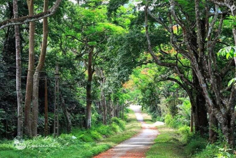 From Ninh Binh: Cuc Phuong National Park Day Trip - FAQs