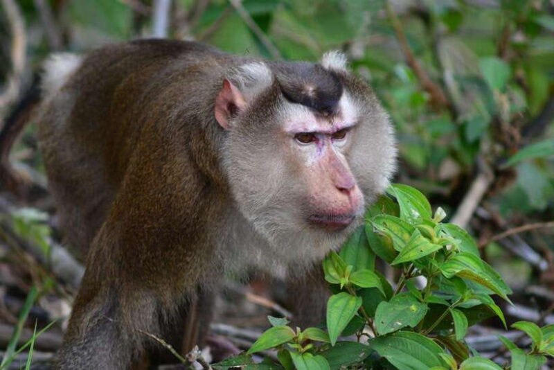 From Ninh Binh Small Group Discover Cuc Phuong National Park - FAQ