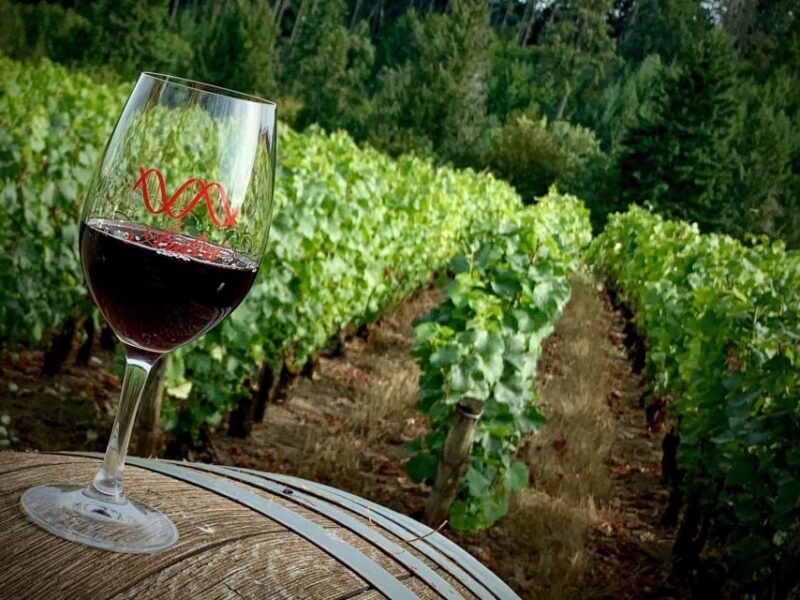 From Portland: Waterfalls, Mt Hood, and Wine Day Tour - FAQs