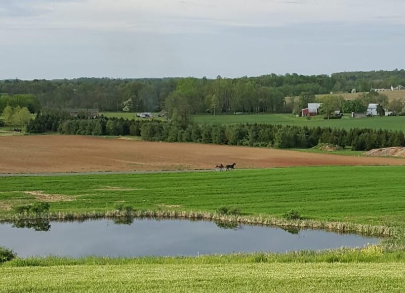 Gettysburg: Horse-Drawn Carriage Tour Countryside & Orchards - FAQ