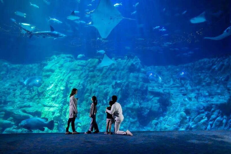 Hong Kong: Ocean Park Entry Ticket - Practical Tips
