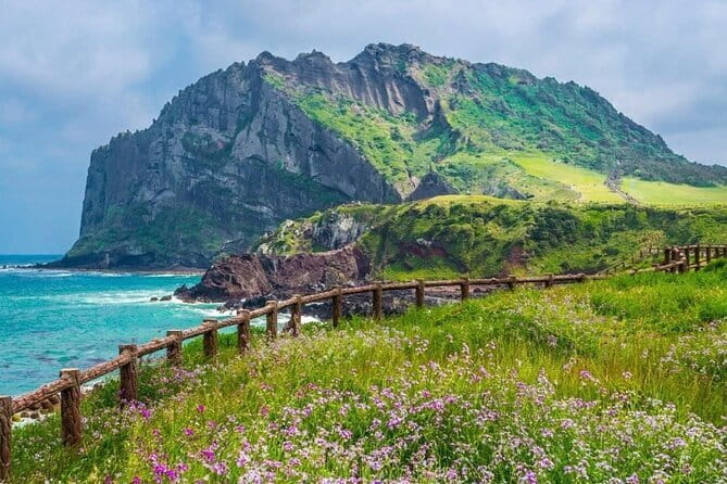 Jeju Unesco Eest course Package Private Van Guided Tour - The Value of the Experience