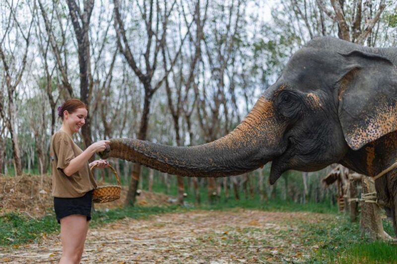 Khao Lak: 1-Hour Elephant Sanctuary Eco-Journey with Shuttle - Final Thoughts
