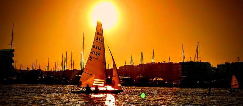 Marina Del Rey Luxury Boat Cruise Wine, Charcuterie Sealions - FAQ