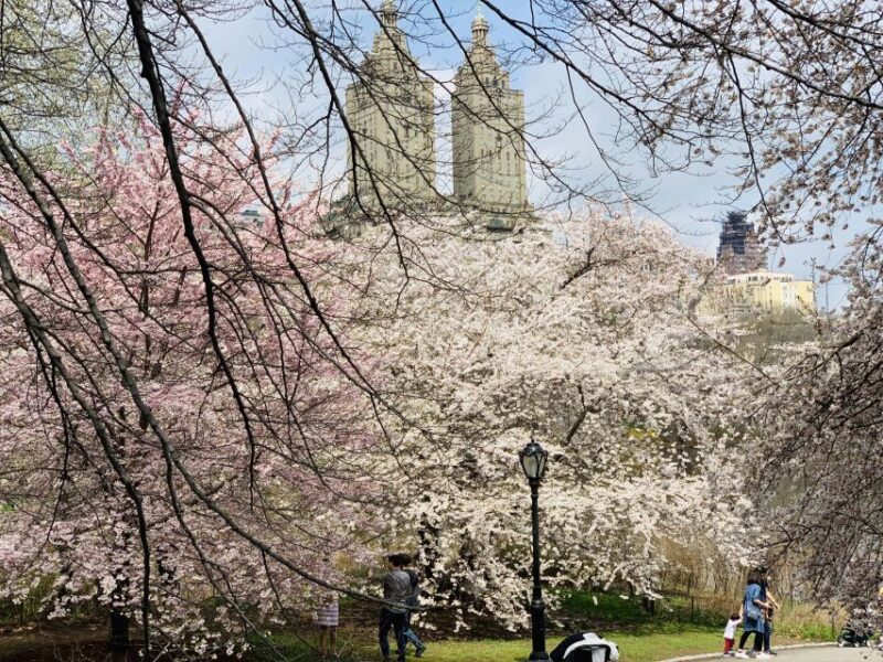 New York City: Central Park Private Horse and Carriage Tour - Final Thoughts