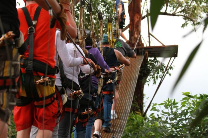 North Maui: 7 Line Zipline Adventure with Ocean Views - FAQ