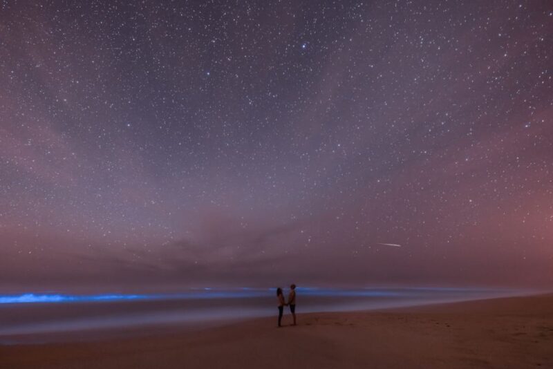 Orlando: Bioluminescence Kayak Adventure - The Sum Up: Is This Experience Right for You?