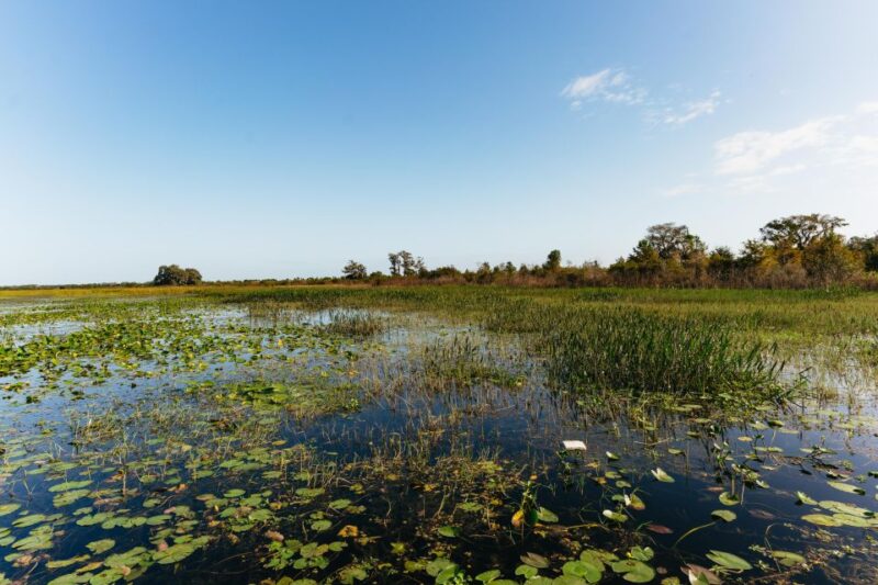 Orlando: Florida Everglades Wildlife Airboat Tour - Frequently Asked Questions
