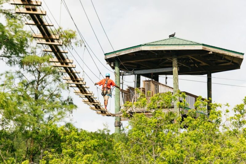 Orlando: Gatorland Skip-the-Line Ticket - The Sum Up